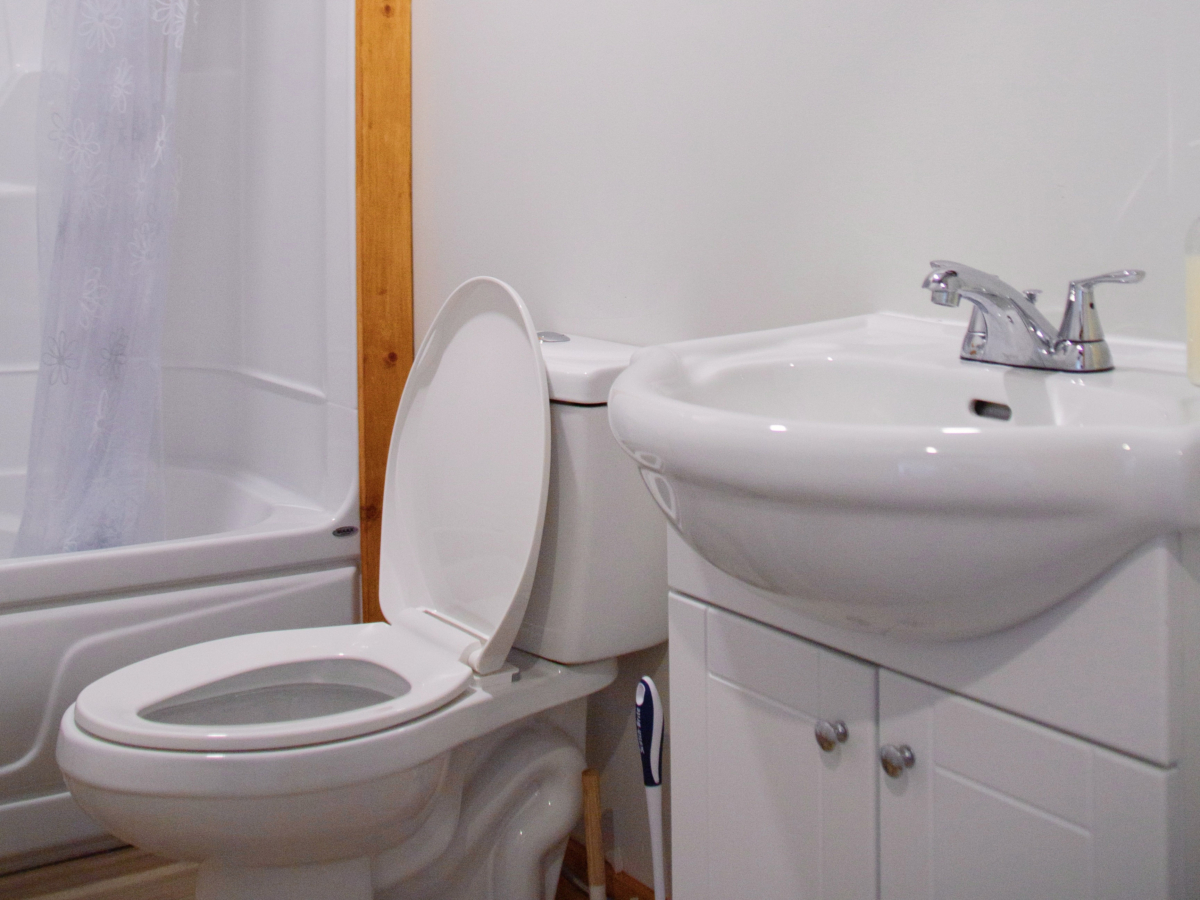 Lodges & Cabins – Gracefield Camp